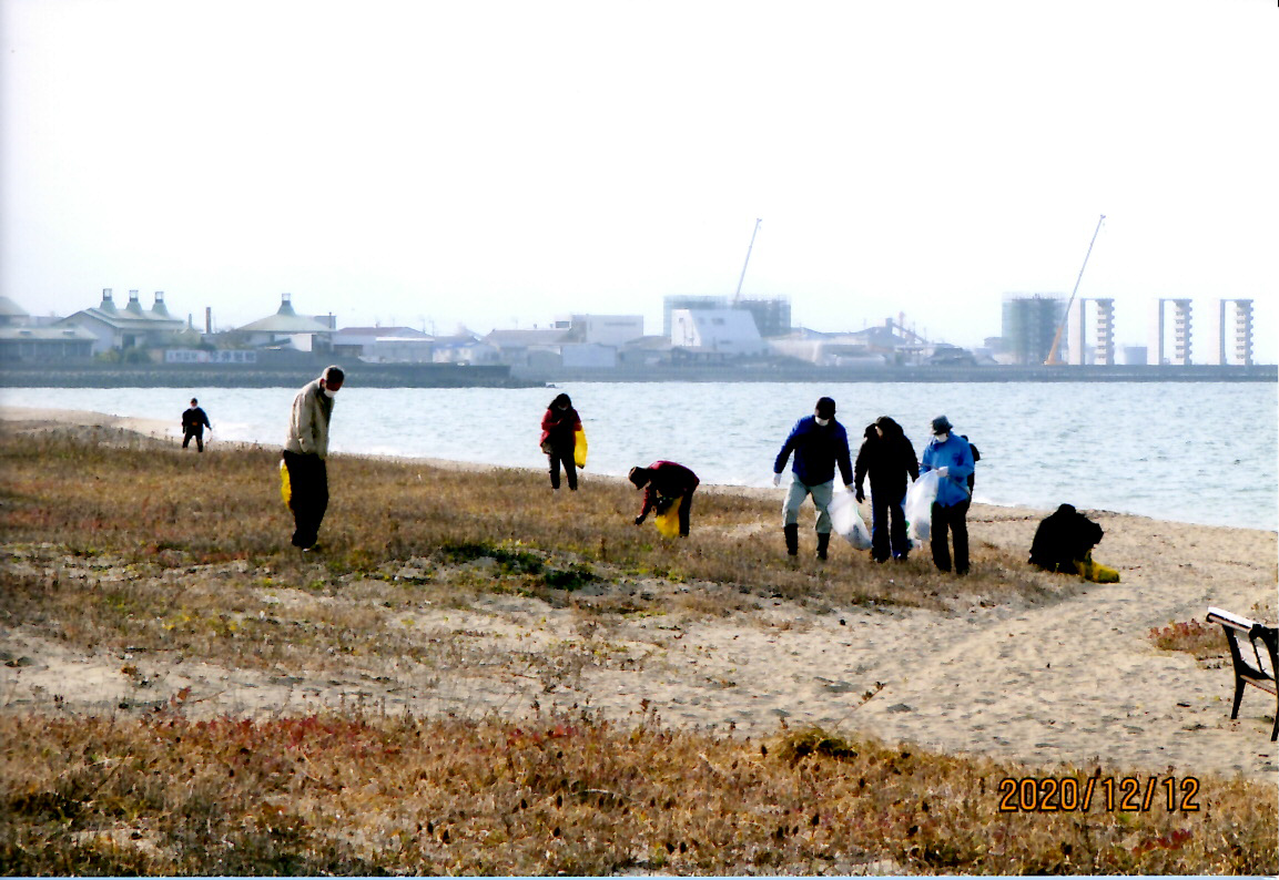 有明浜の海浜植物とアサギマダラ飛翔会 | JCCCA 全国地球温暖化防止活動推進センター