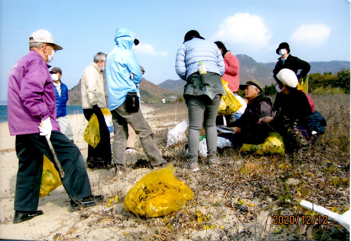 有明浜の海浜植物とアサギマダラ飛翔会 | JCCCA 全国地球温暖化防止活動推進センター