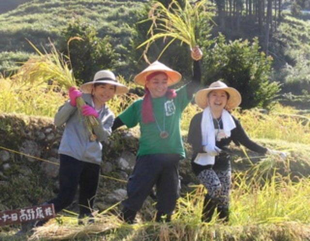 【農作業体験】熊野の棚田 田畑の楽校2023 | JCCCA 全国地球温暖化防止活動推進センター