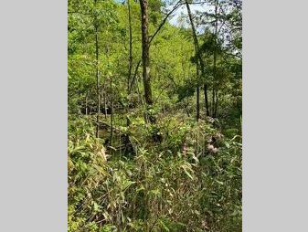 第26回締約国会議（COP26） | JCCCA 全国地球温暖化防止活動推進センター