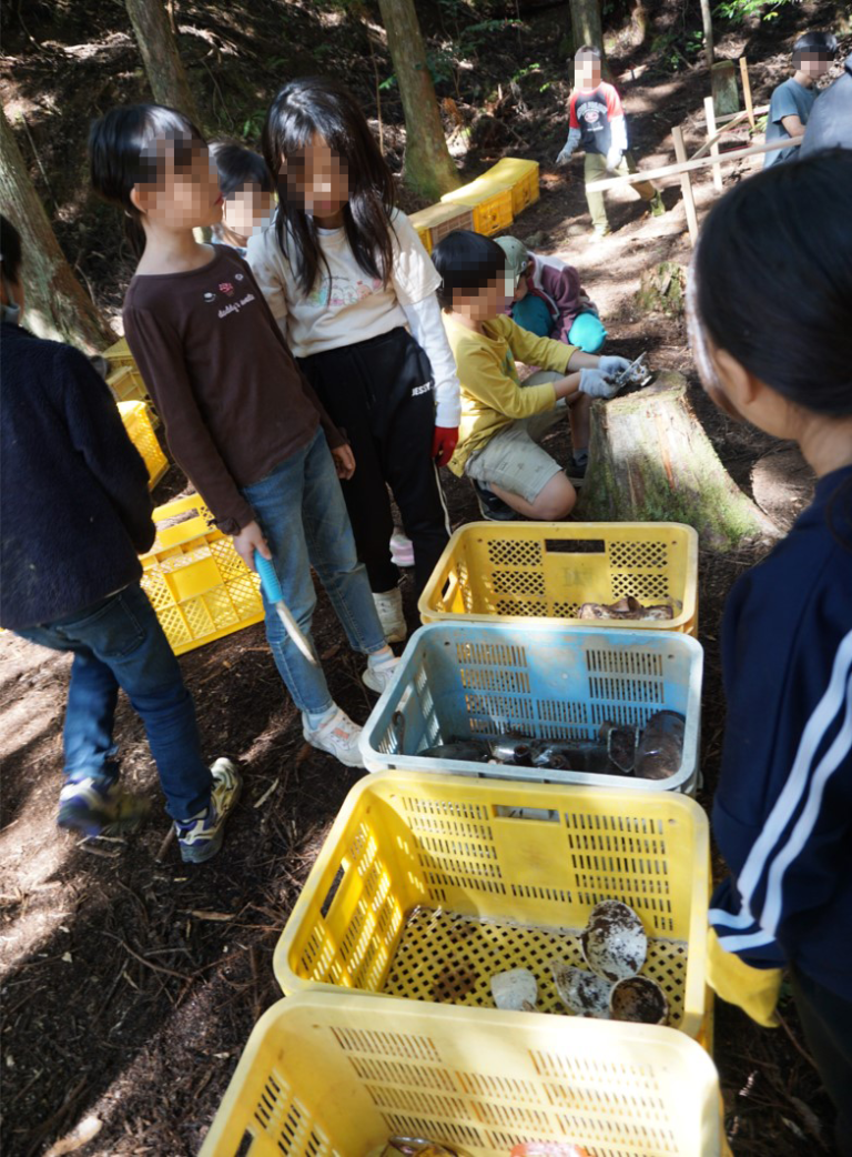 きのくに子どもの村学園 きのくに子どもの村小学校 | JCCCA 全国地球温暖化防止活動推進センター